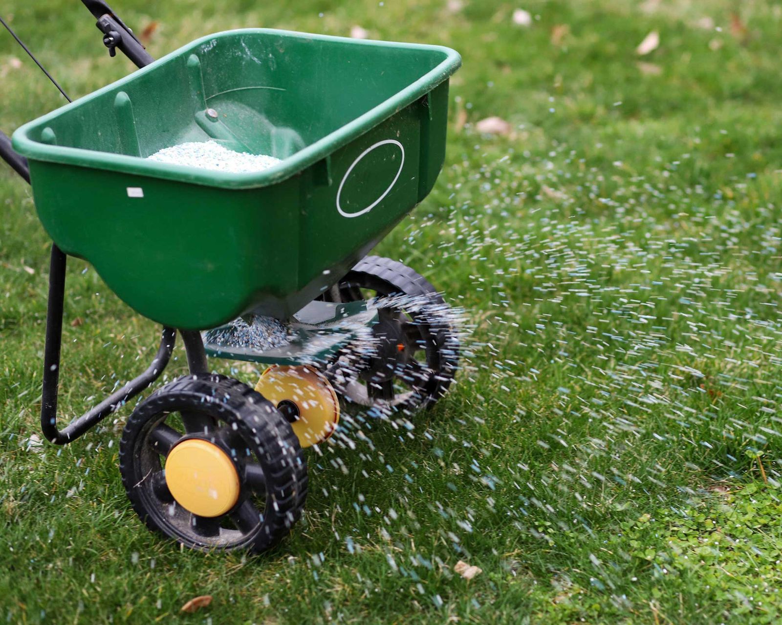 How to scarify a lawn: simple steps to give your grass a boost ...