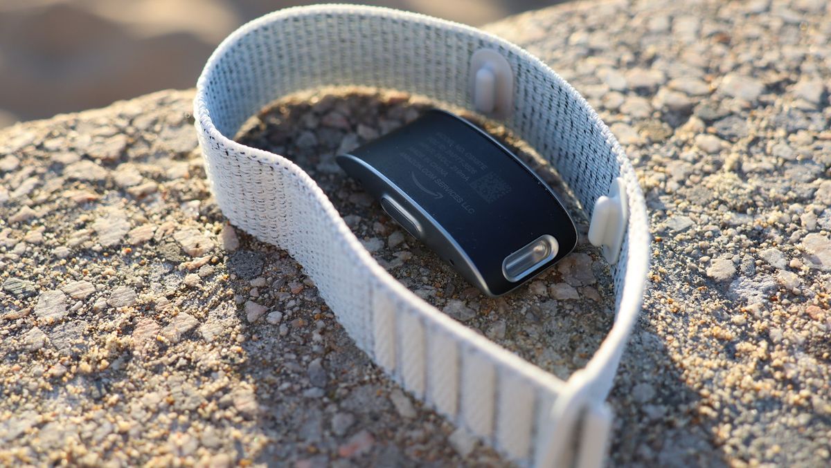 Amazon Halo review | TechRadar