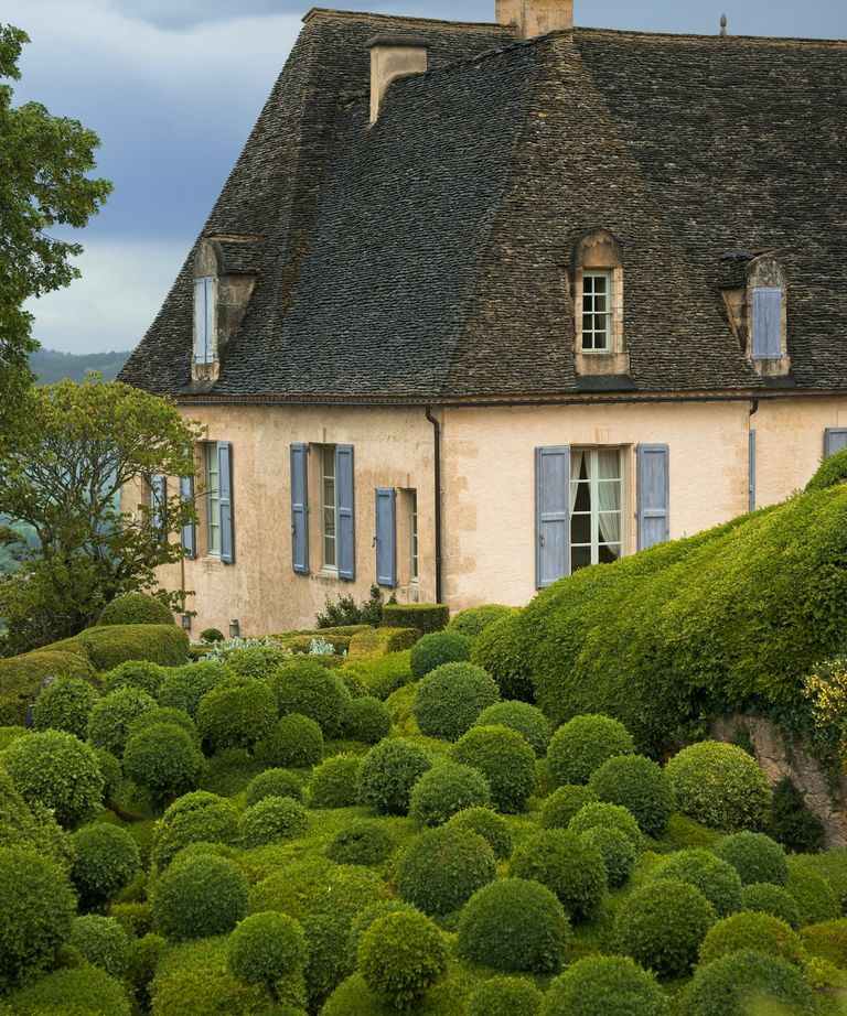 11 plants for a French countryside-style garden: expert picks | Homes ...