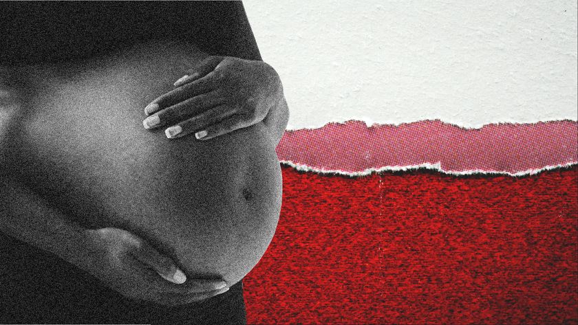 Pancreas: Function, Location & Diseases | Live Science