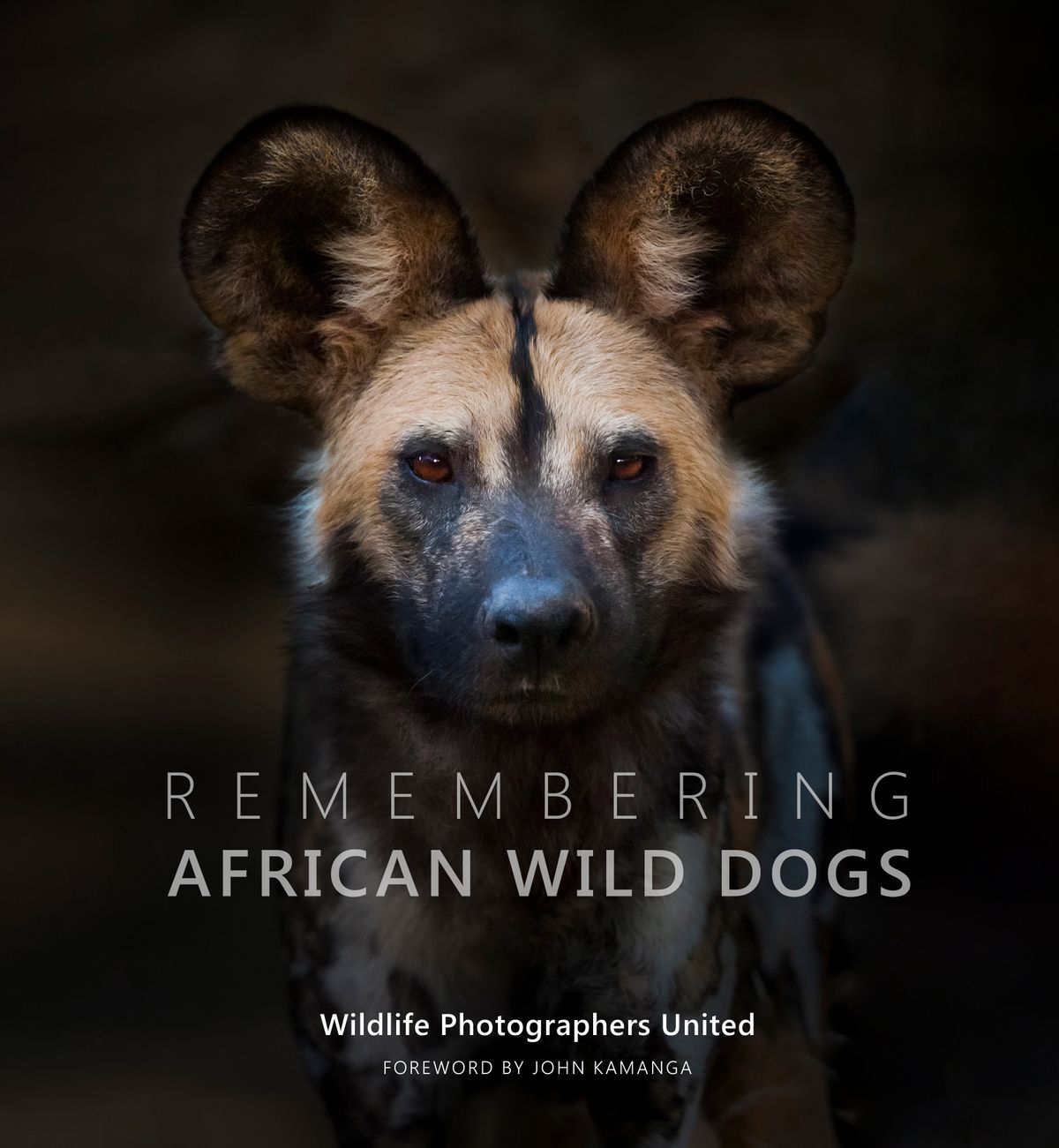 Wildlife photo book series set to break £1 million in donations – and ...