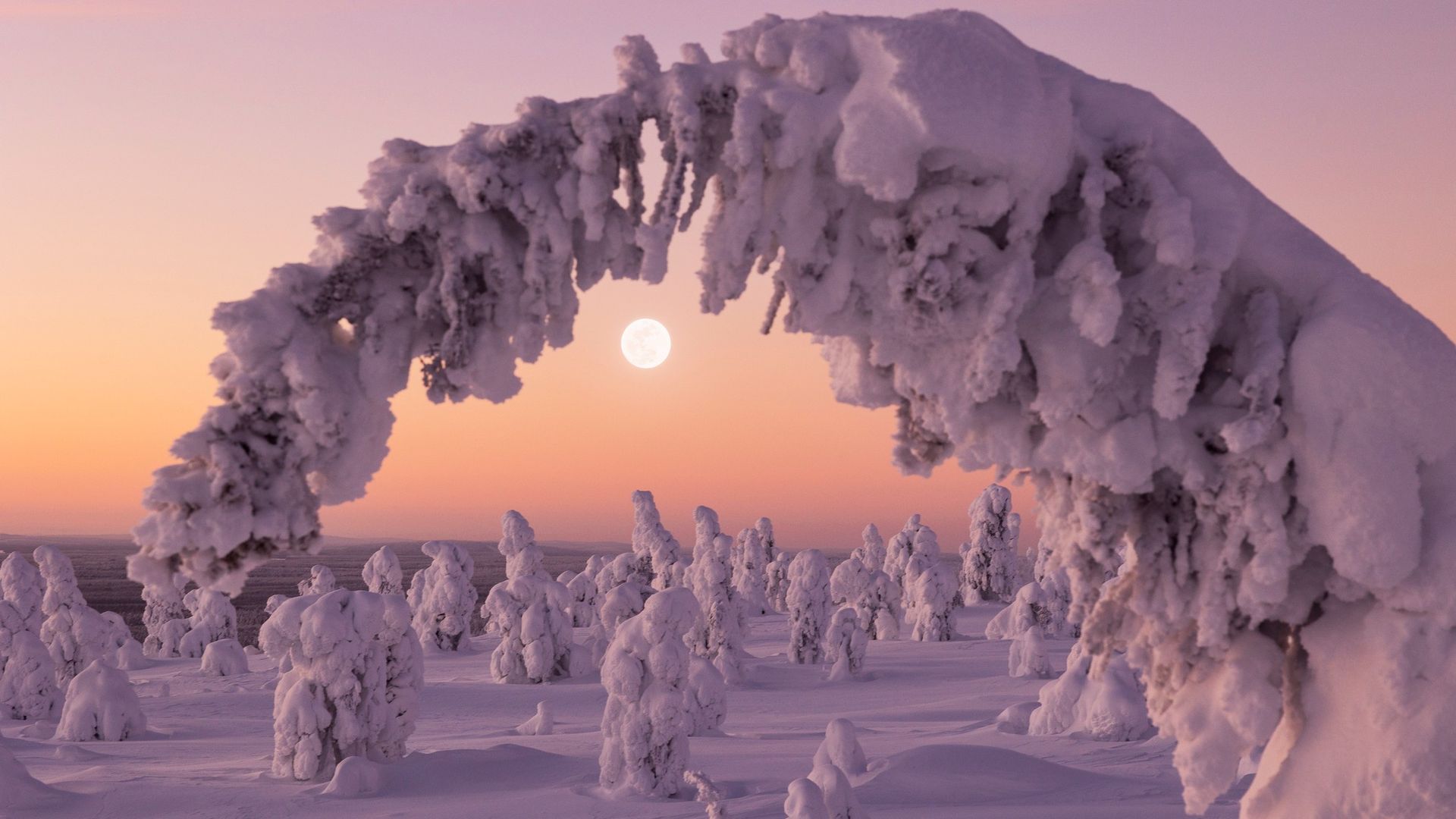 Winter solstice 2025: Your ultimate guide to the shortest day of the ...