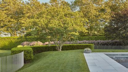 Pool fence ideas - landscape inspiration for swimming pools | Livingetc