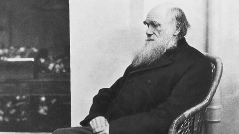 Science quiz: Test your knowledge on Charles Darwin, the 'father of ...