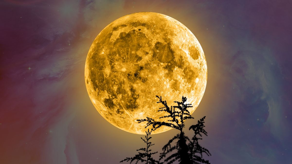 Full Moon December 2022: Zodiac forecast for dramatic Moon | Woman & Home