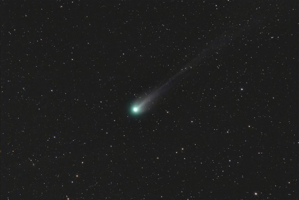 Amazing photos of 'horned' comet 12P/Pons-Brooks from around the world ...
