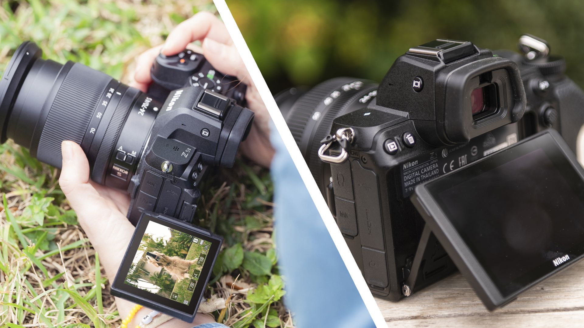 Nikon Z5 II vs Nikon Z5: is the pricier and all-round speedier Z5 II worth it? | TechRadar