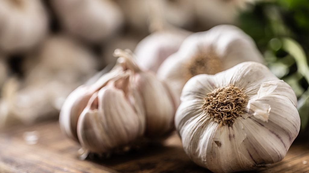 How to get rid of squash vine borers: 5 methods to try | Homes and Gardens
