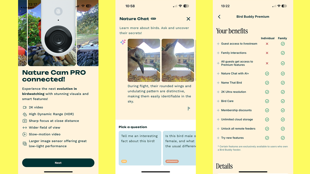 Bird Buddy Smart Bird Feeder Pro review: improved 2K video and AI smarts | TechRadar