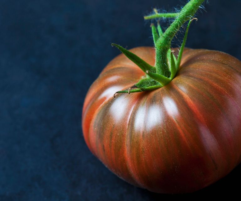How to grow heirloom tomatoes - expert tips for success | Homes and Gardens