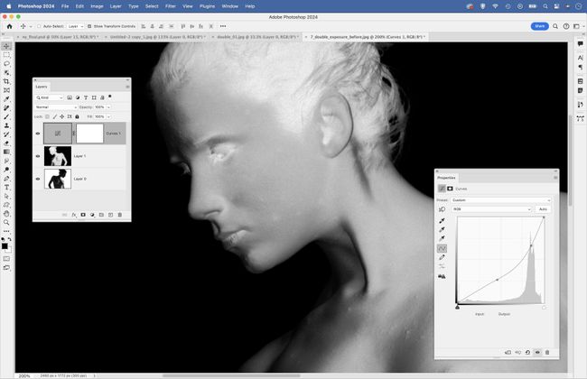 Craft your own cyanotypes at home with this quick and easy setup ...