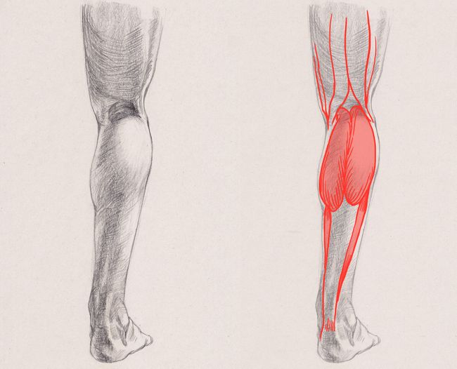 How to draw legs | Creative Bloq
