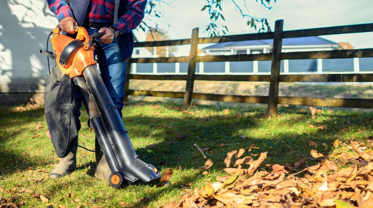 How to choose a leaf blower | Top Ten Reviews