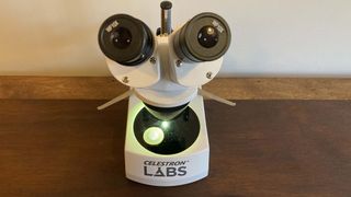 10 weird and wonderful things to look at under a microscope | Live Science