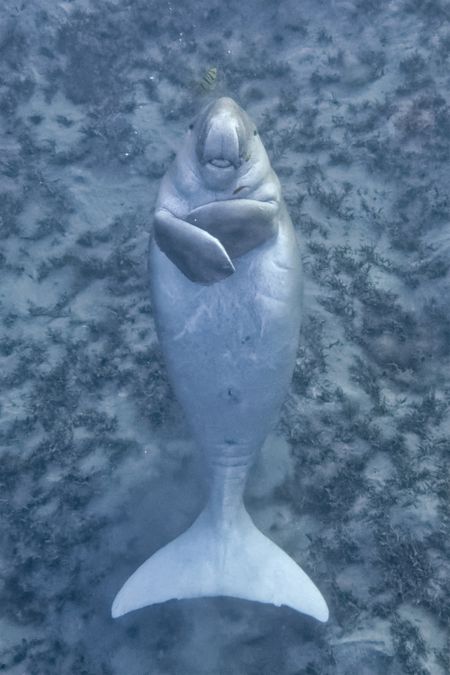 Under the sea: 50 breathtaking images from our oceans | Live Science