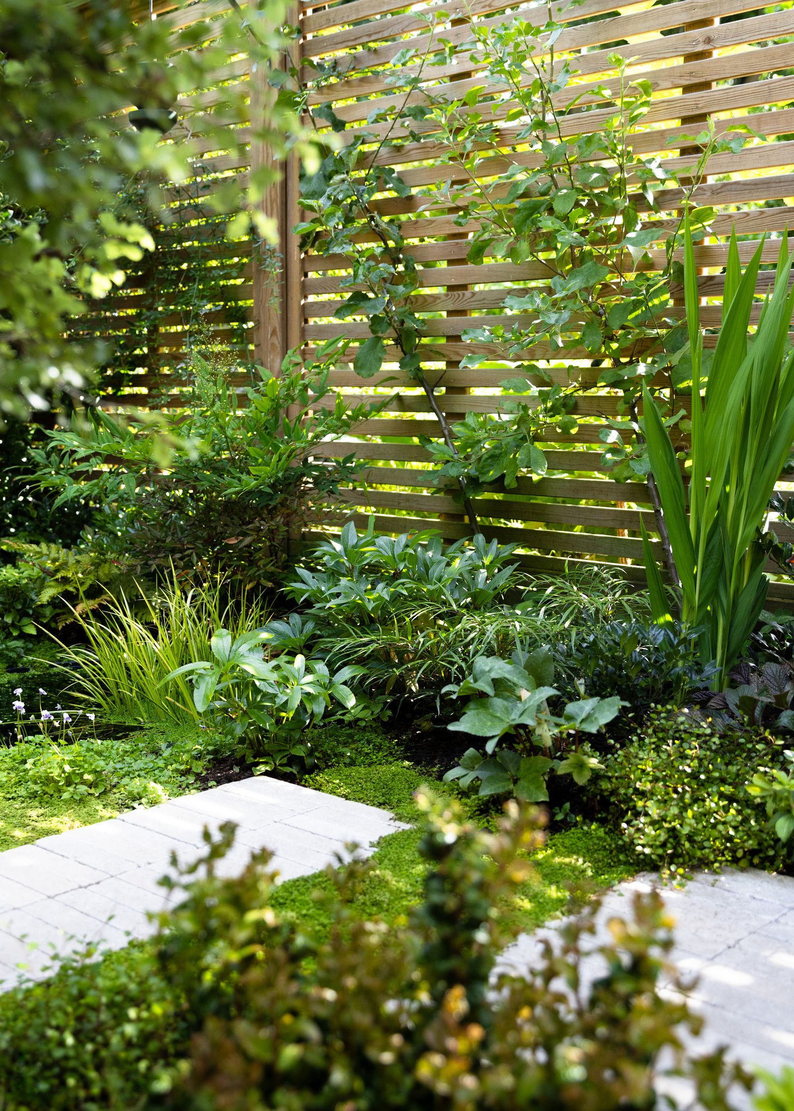 Garden Screening Ideas That Will Create Boundaries and Zones | Livingetc