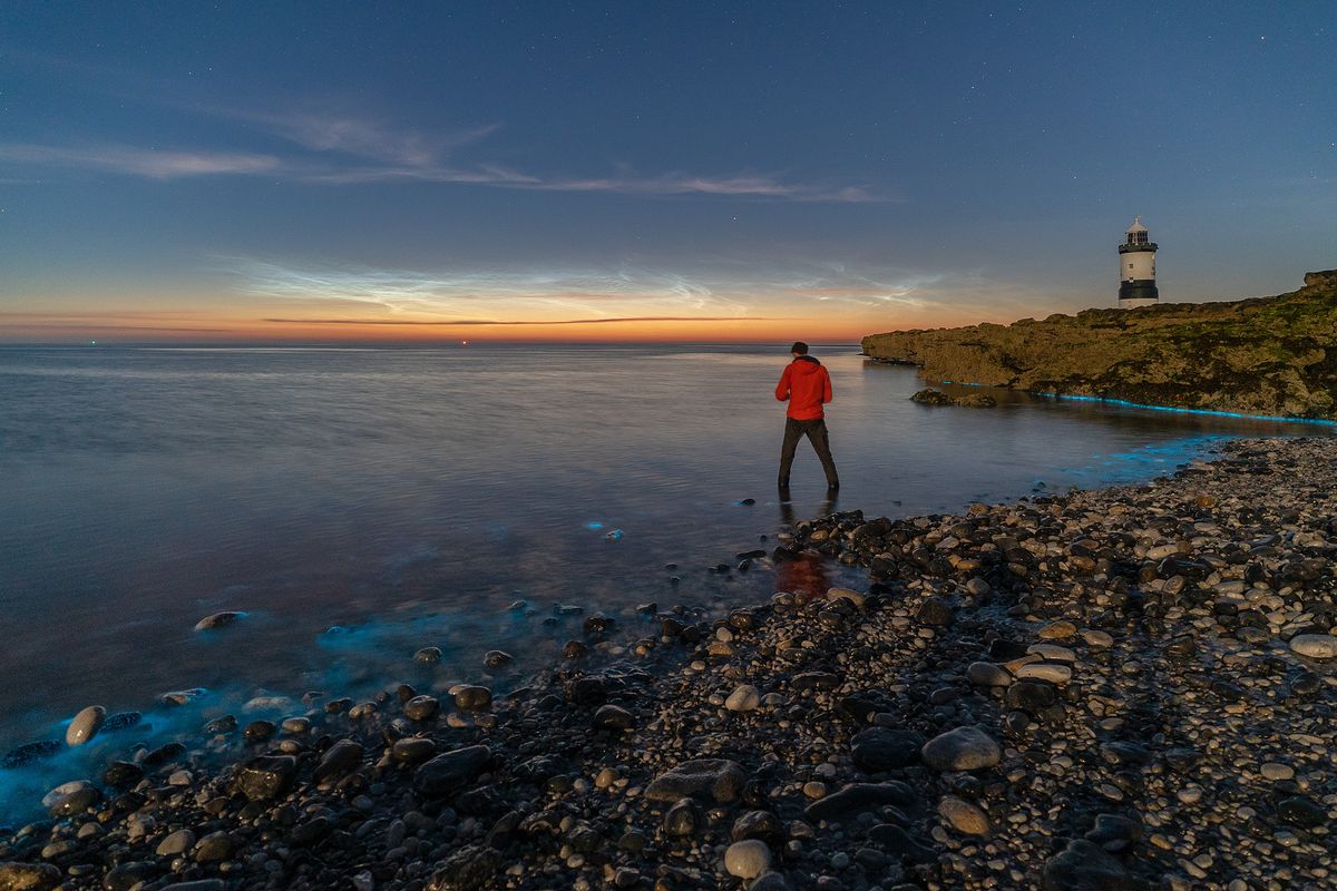 How to photograph Sea Sparkle: taking images of bioluminescent plankton ...