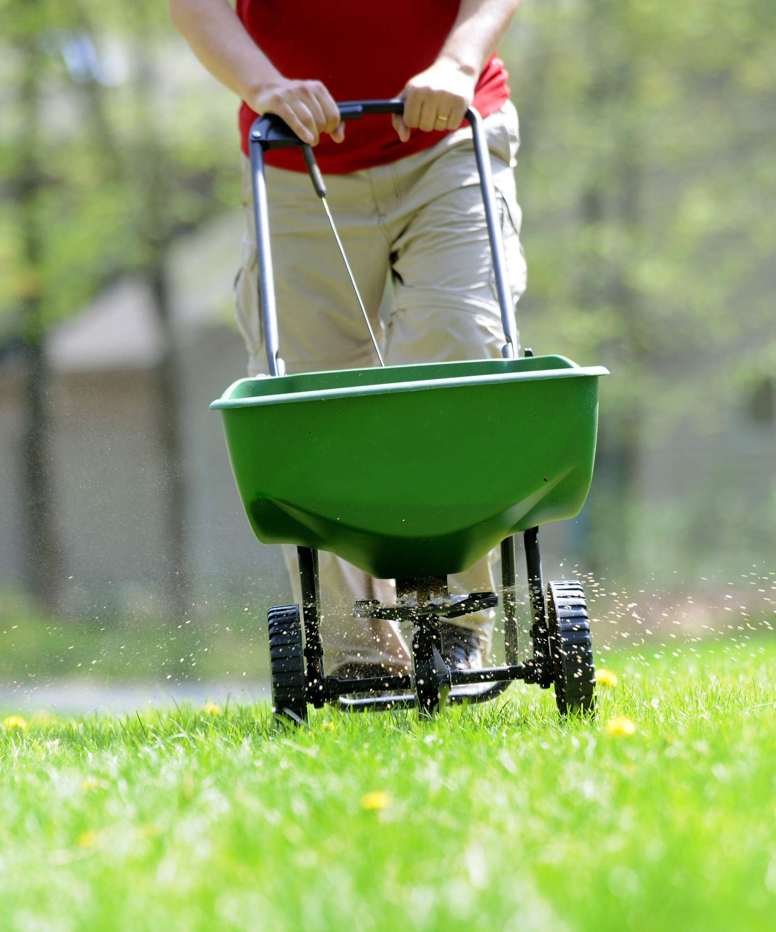 A guide to summer lawn care for great grass all season long | Homes and ...