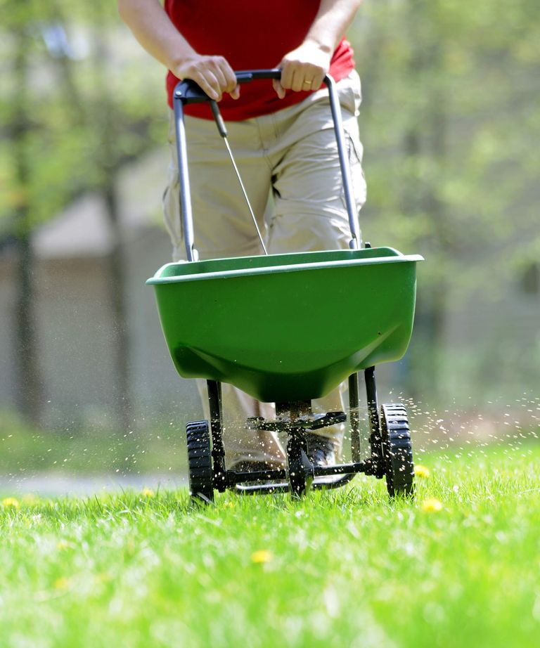How to pick the best fertilizer for grass in spring | Homes and Gardens