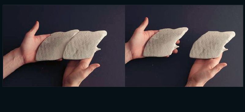 3D-Printed Fish Scales May Improve Military Armor | Live Science