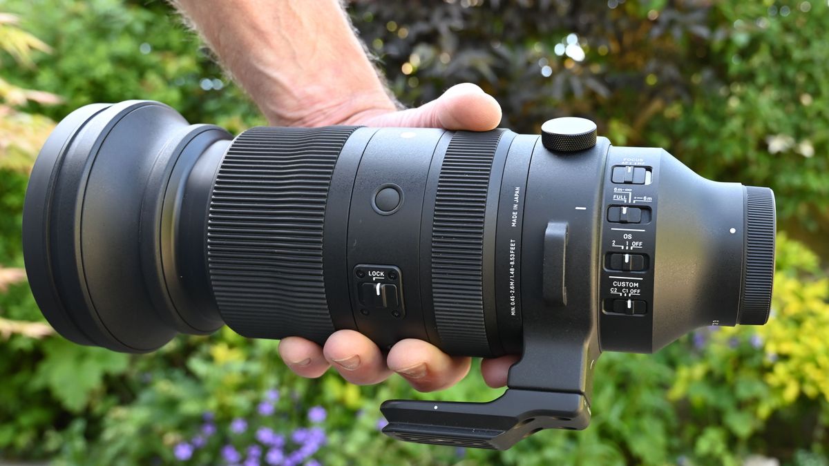 Sigma 60-600mm F4.5-6.3 DG DN OS Sports review | Digital Camera World