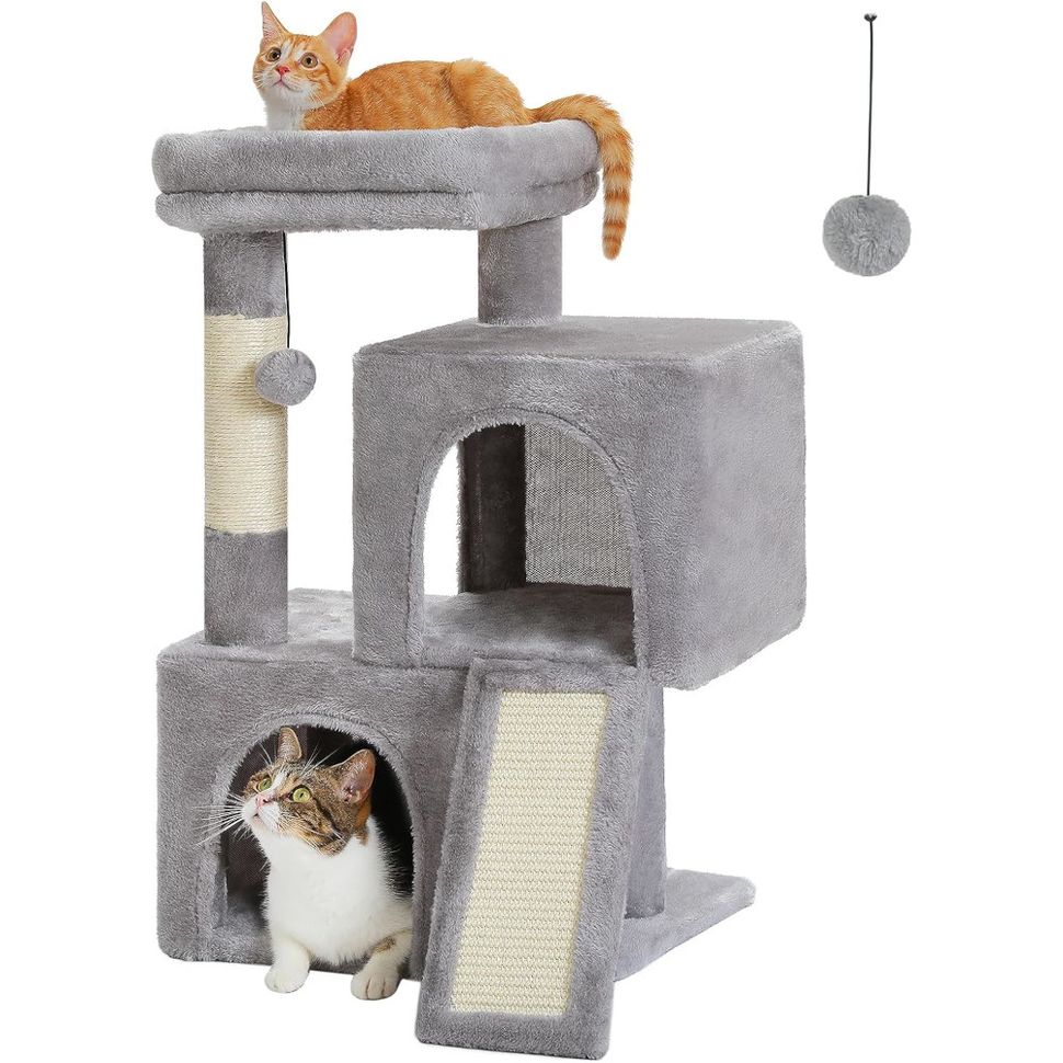Best kitten toys: The top playthings for your new cat | PetsRadar
