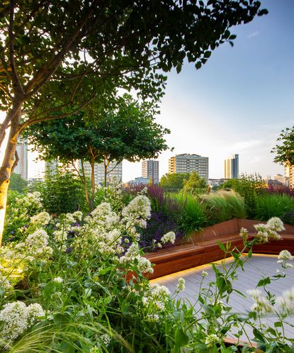 Designer garden ideas | Homes and Gardens