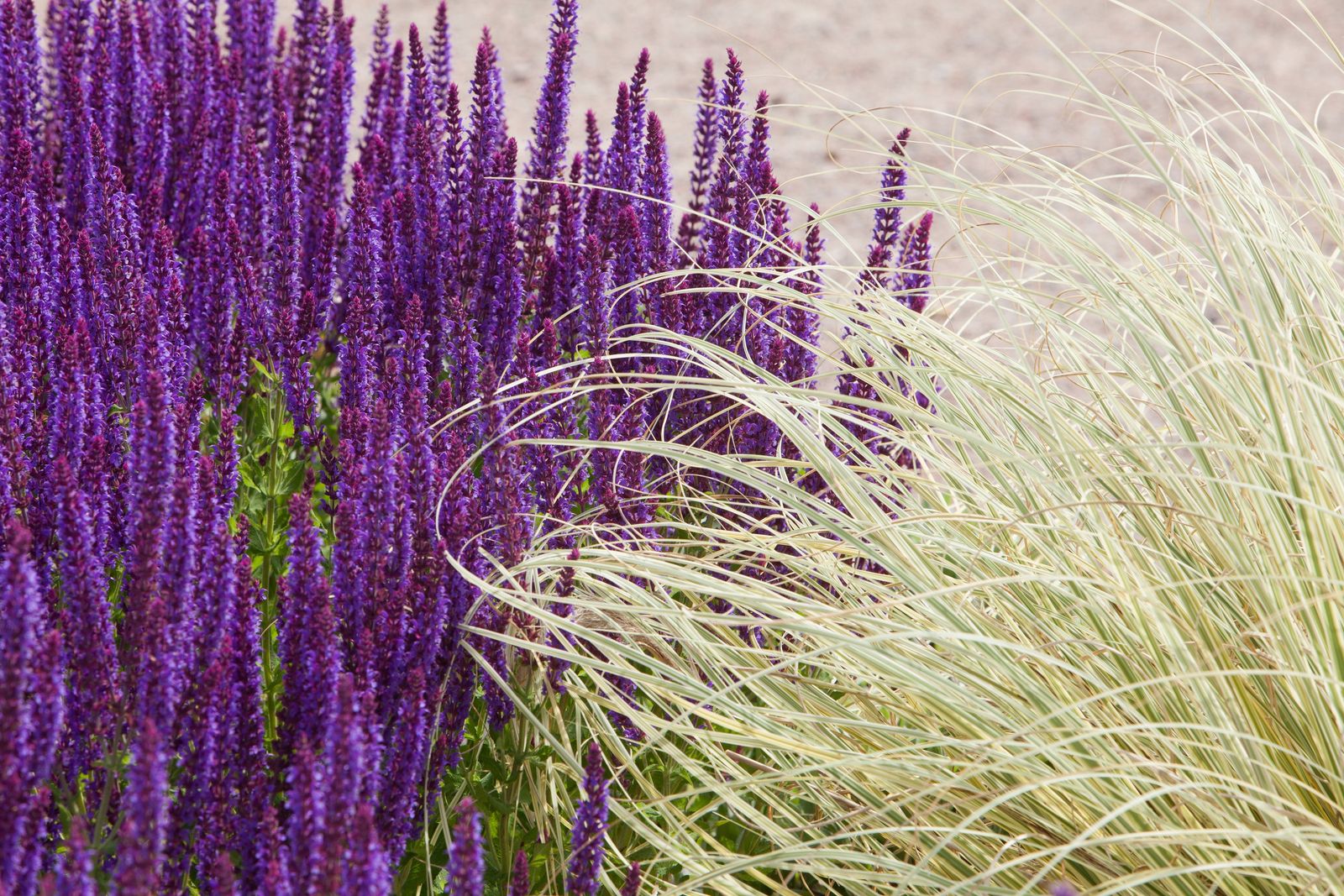 Landscaping with flowers – how to create a blooming garden | Livingetc