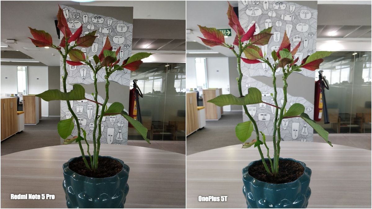 Camera Comparison: Xiaomi Redmi Note 5 Pro vs OnePlus 5T | TechRadar