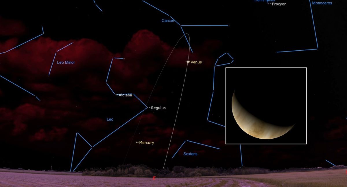 Venus is now a beacon in the early morning sky. Here's how to see it ...