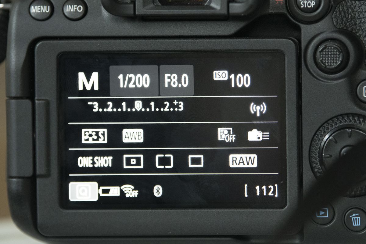 Take creative home portraits with simple flash skills and vibrant color ...