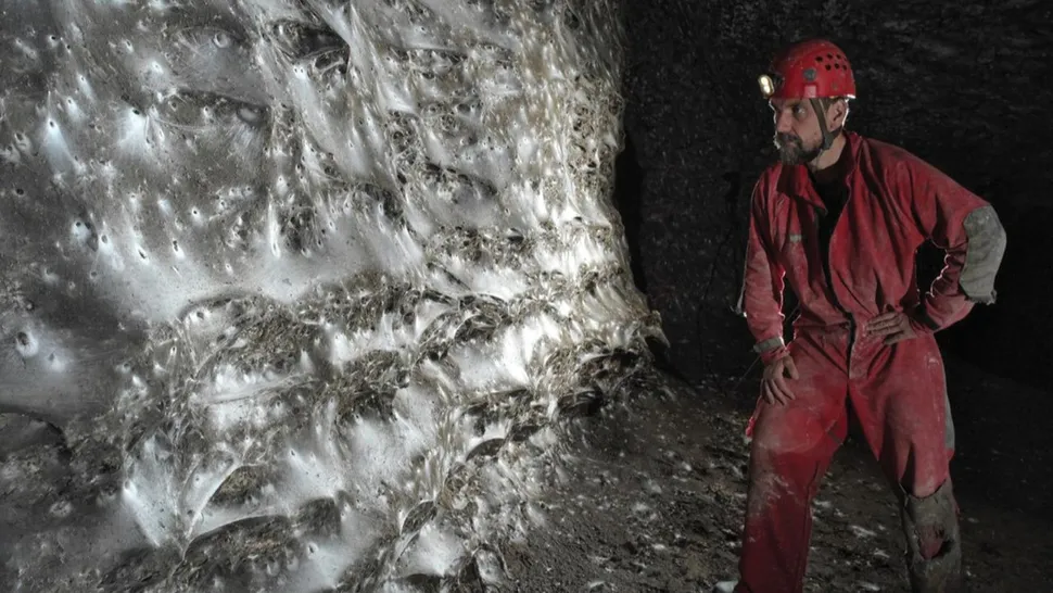World's biggest known spiderweb discovered inside a cave in Albanian ...
