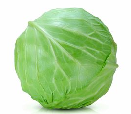 Tips & Information about Cabbage | Gardening Know How