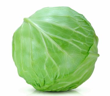Tips & Information about Cabbage | Gardening Know How