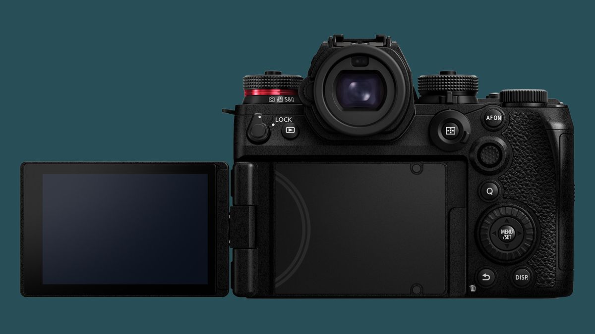 Panasonic Lumix S1R II vs Lumix S5 II: time to upgrade? | TechRadar