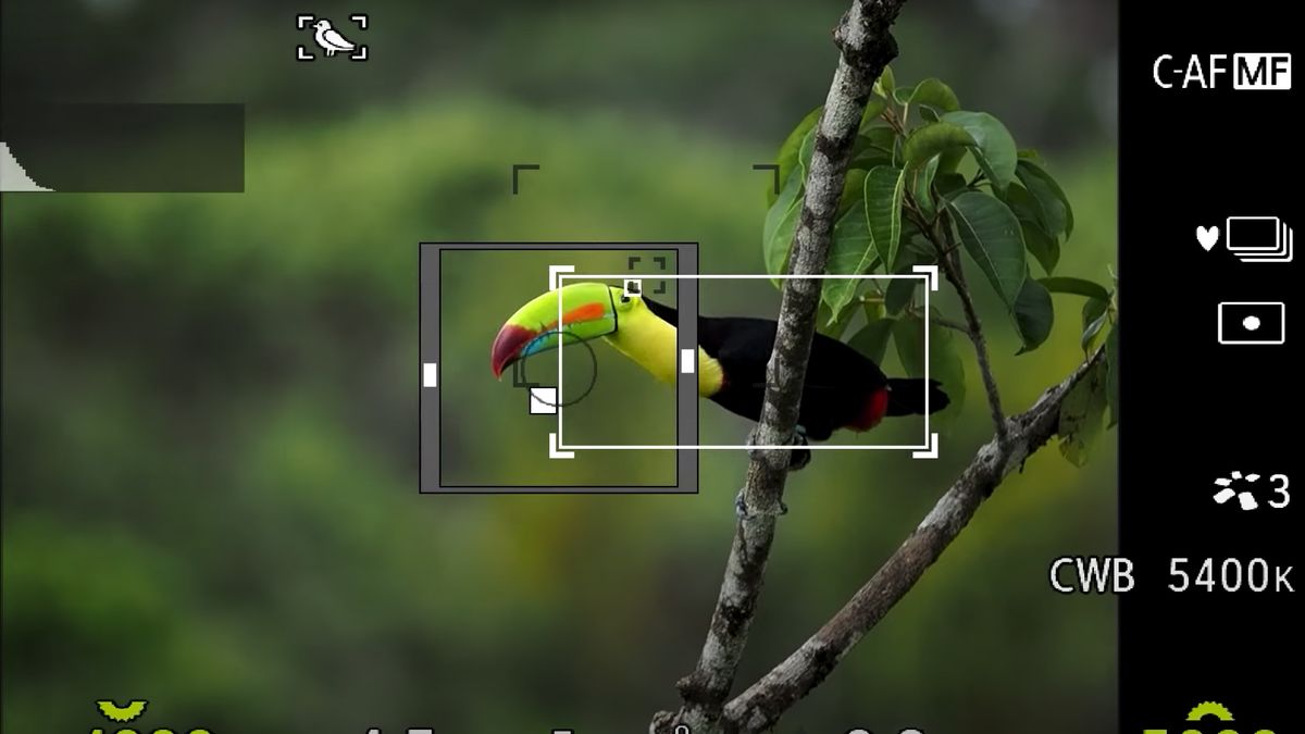 5 ways AI is transforming how our cameras work | TechRadar