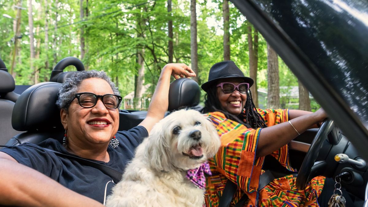 32 hobbies you can do with your dog | PetsRadar