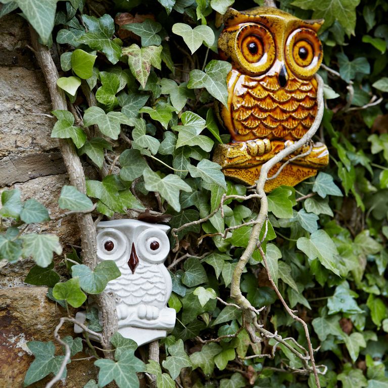 The worst garden trends of all time revealed – how many are you guilty ...
