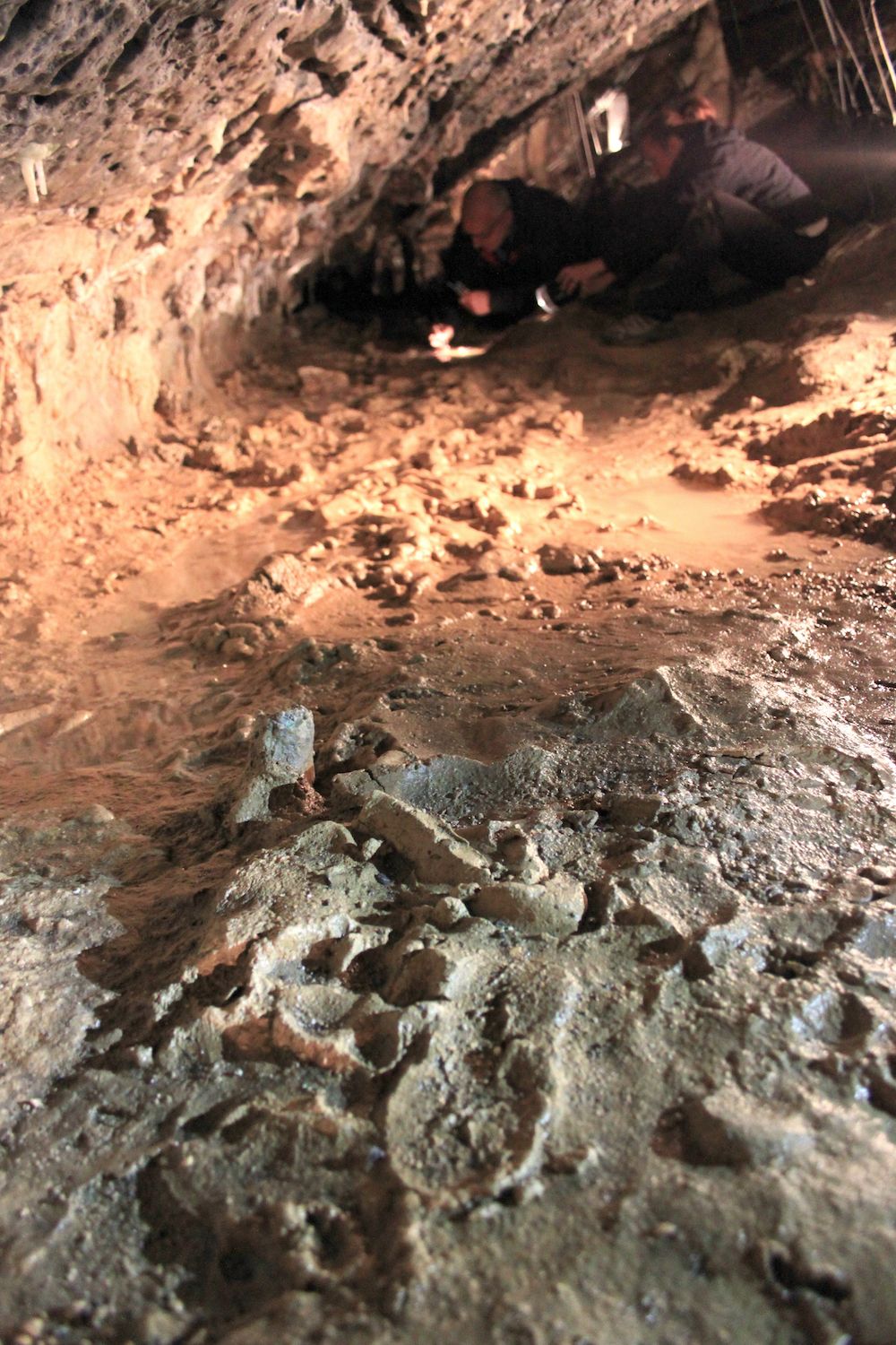 Humans Crawled Through a Cave 14,000 Years Ago. We Can Still See Their ...