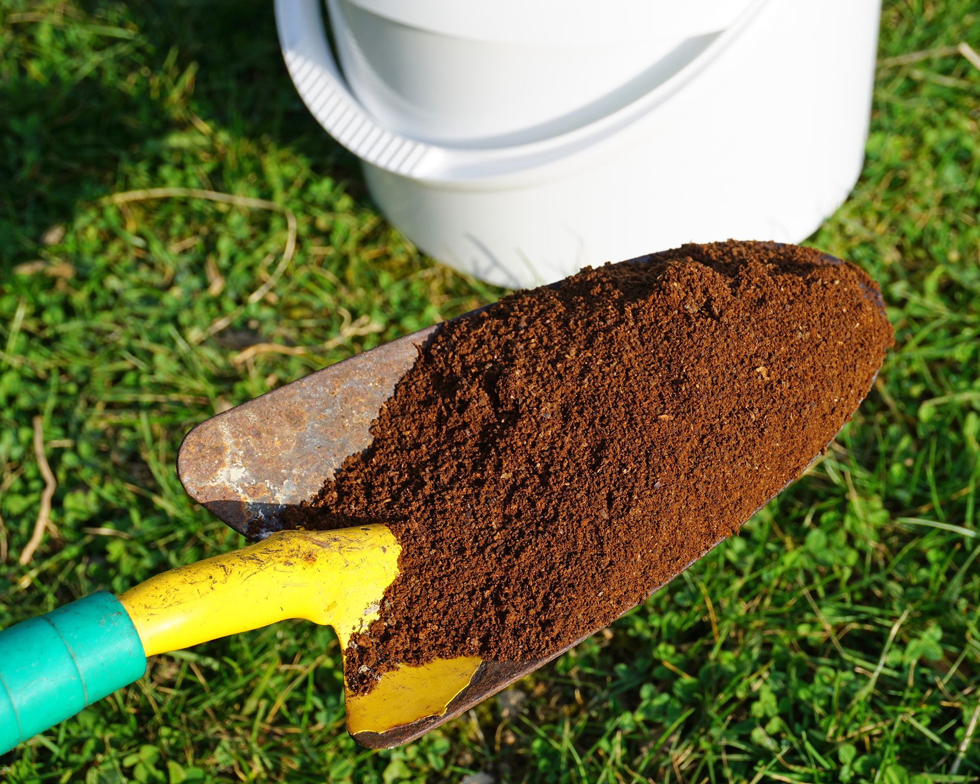 Homemade Tomato Fertilizer: Powerful Natural Recipes | Gardening Know How