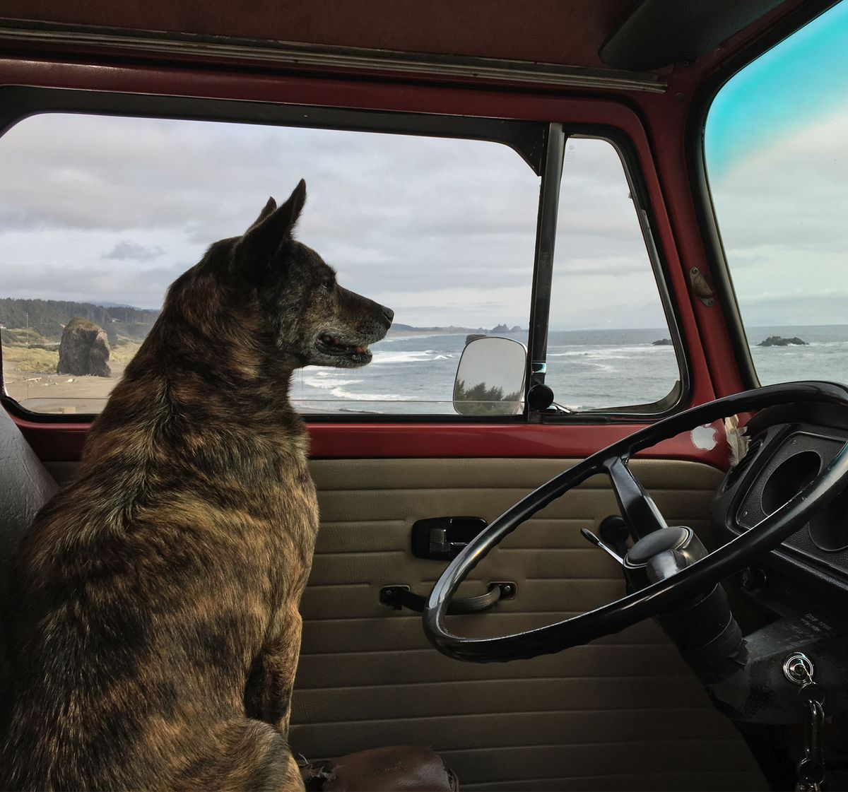 Check out these iPhone 6s and 6s Plus camera samples | iMore