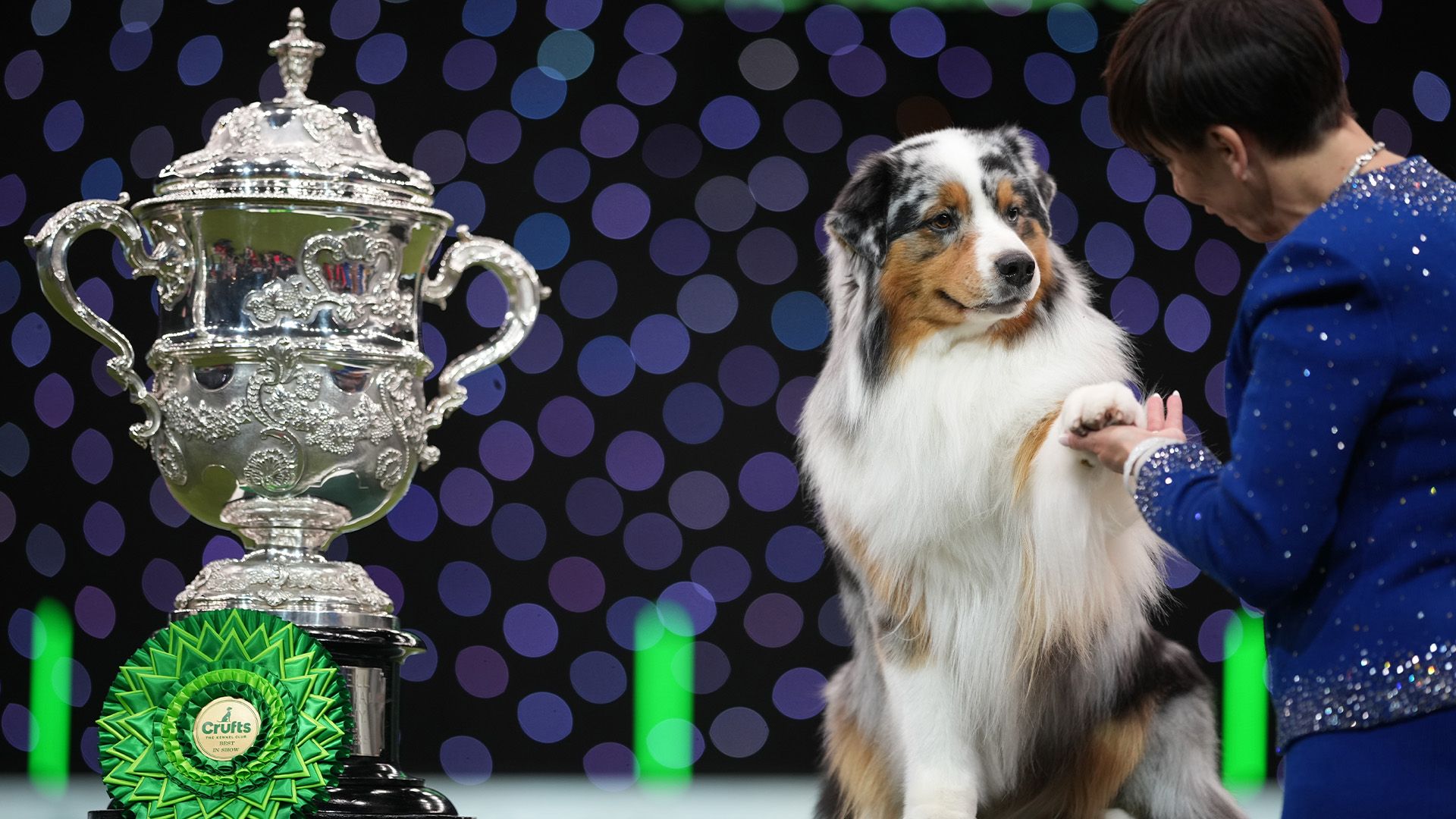 Crufts facts: Everything to know about the greatest dog show | PetsRadar