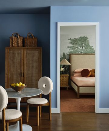 5 best blue paints as chosen by interior designers | Homes and Gardens