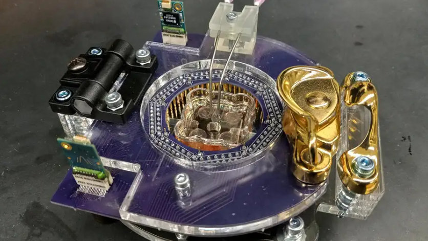 We're one step closer to a meaty cyberpunk future as scientists create ...