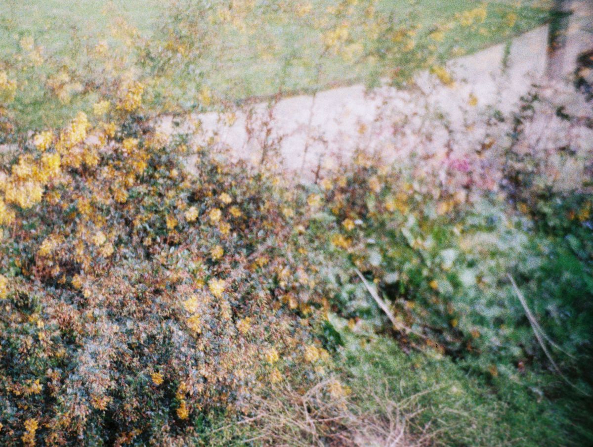 Lomomatic 110 Camera & Flash Metal review: get your groove on with this ...