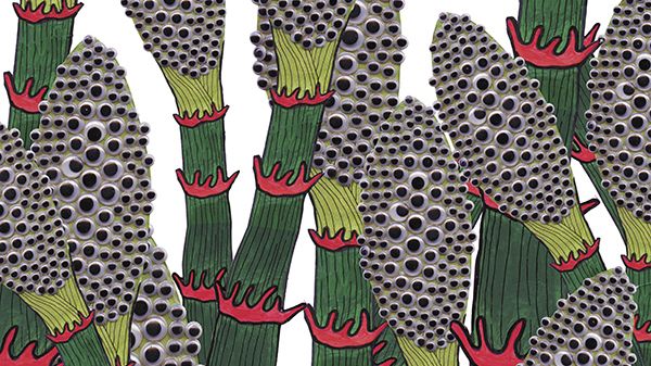 Part Chimp - IV album review | Louder