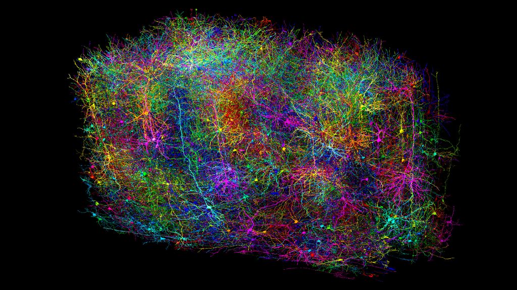 Scientists built largest brain 'connectome' to date by having a lab ...