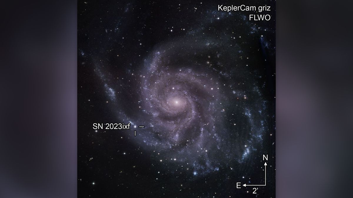 'Significant and unexpected': Dying star spits out a sun's worth of ...