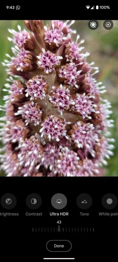 Google Photos now lets you spice up your pictures with Ultra HDR glow ...