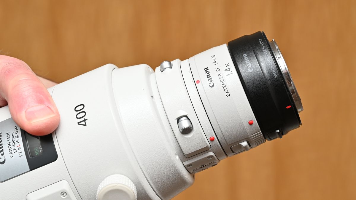 Canon Extender EF 1.4x III review: extend your telephoto reach, not your budget | Digital Camera ...